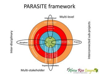 Th1_PARASITE – a research program to support the African rice sector in ...