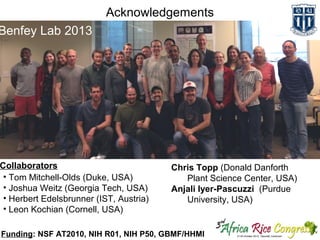 Th1_Identifying Core Regions of the O. sativa Genome Controlling | PPT