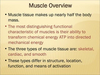 chemistry and food biochemistry muscle and tissue | PPT