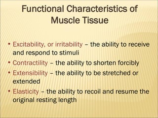 chemistry and food biochemistry muscle and tissue | PPT