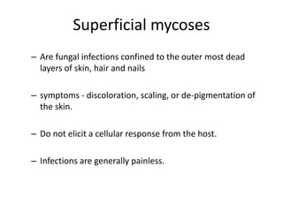1-Mycology-Introduction.ppt