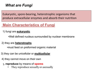 1-Mycology-Introduction.ppt