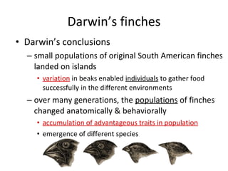 1. Natural Selection | PPT