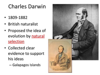 1. Natural Selection | PPT