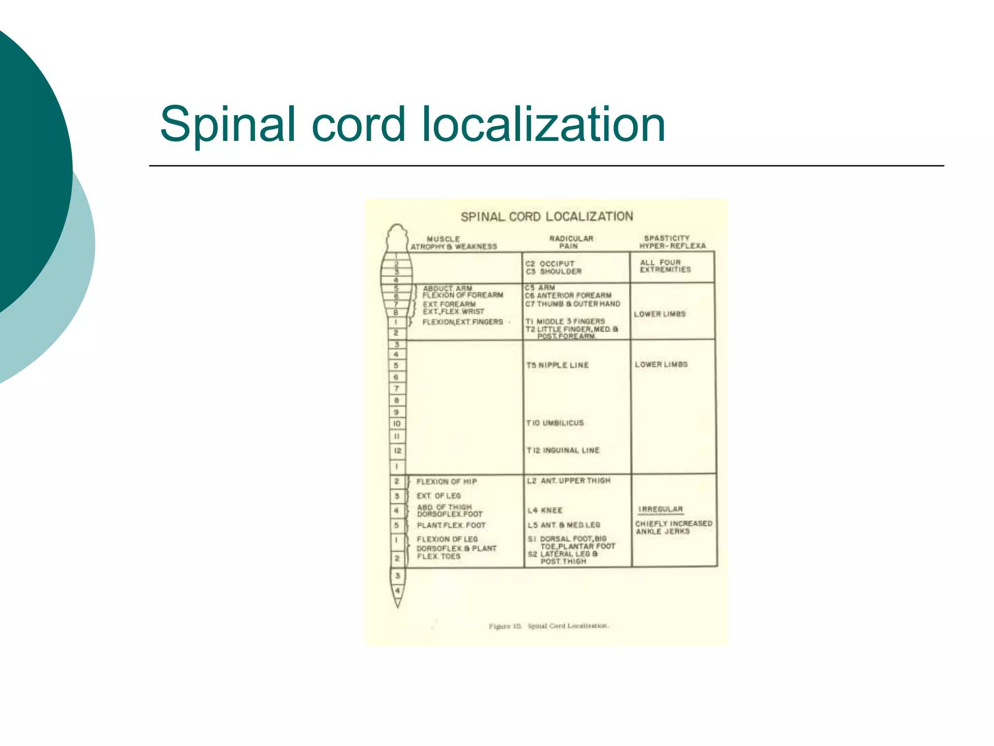 1 - Neurologic localization.ppt