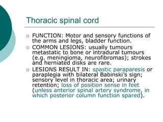1 - Neurologic localization.ppt