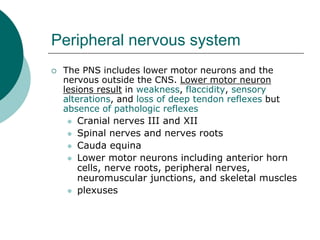 1 - Neurologic localization.ppt