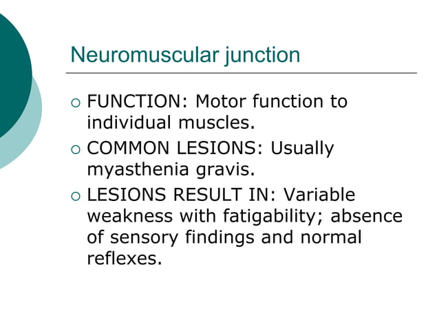 1 - Neurologic localization.ppt