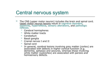 1 - Neurologic localization in the CNS(1).ppt
