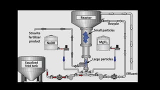 1 nitrogen removal | PPTX