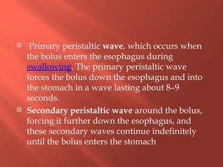 1-Oesophagus 01-02-24.ppt lecture of medicine | PPT