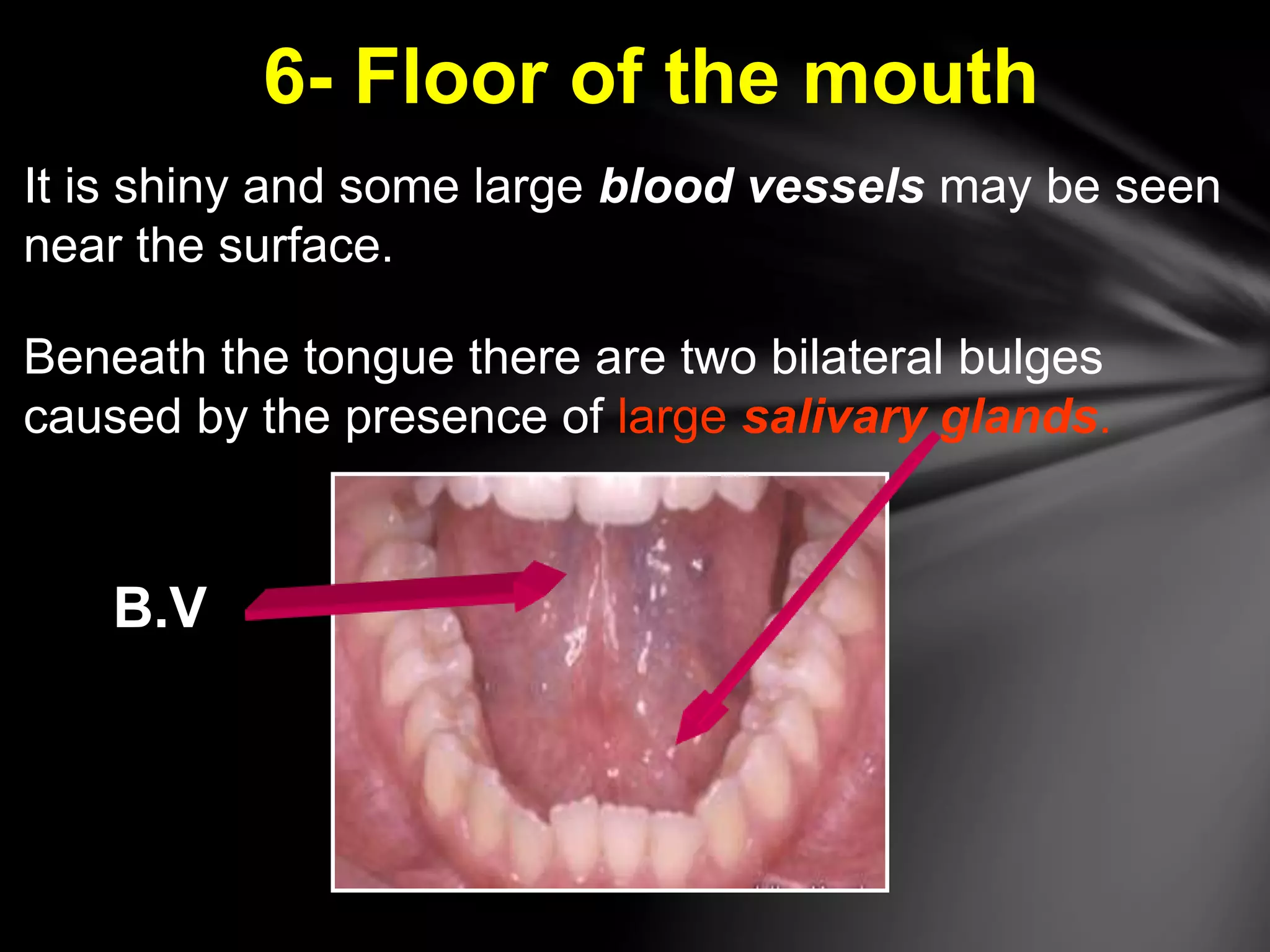 oral cavity | PPT