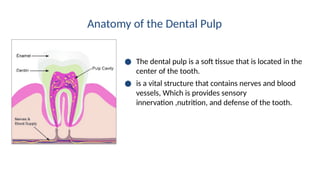 origin of pulpal pain endodontic pptx | PPTX