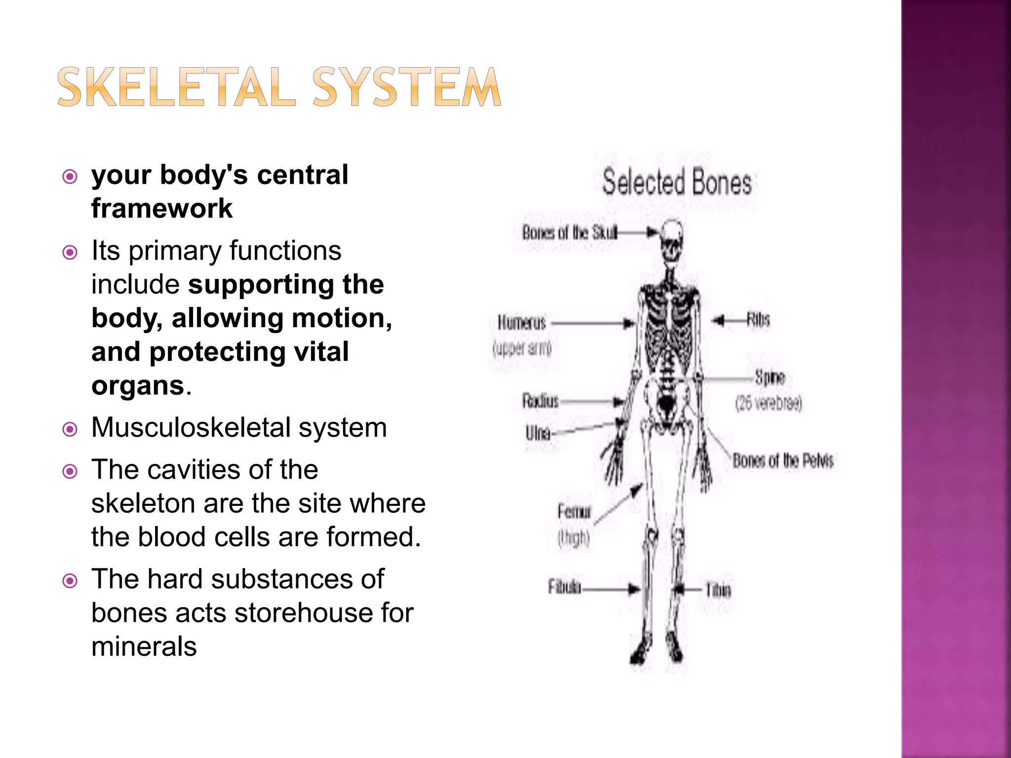 1-Overview of ANAPHY.pptx