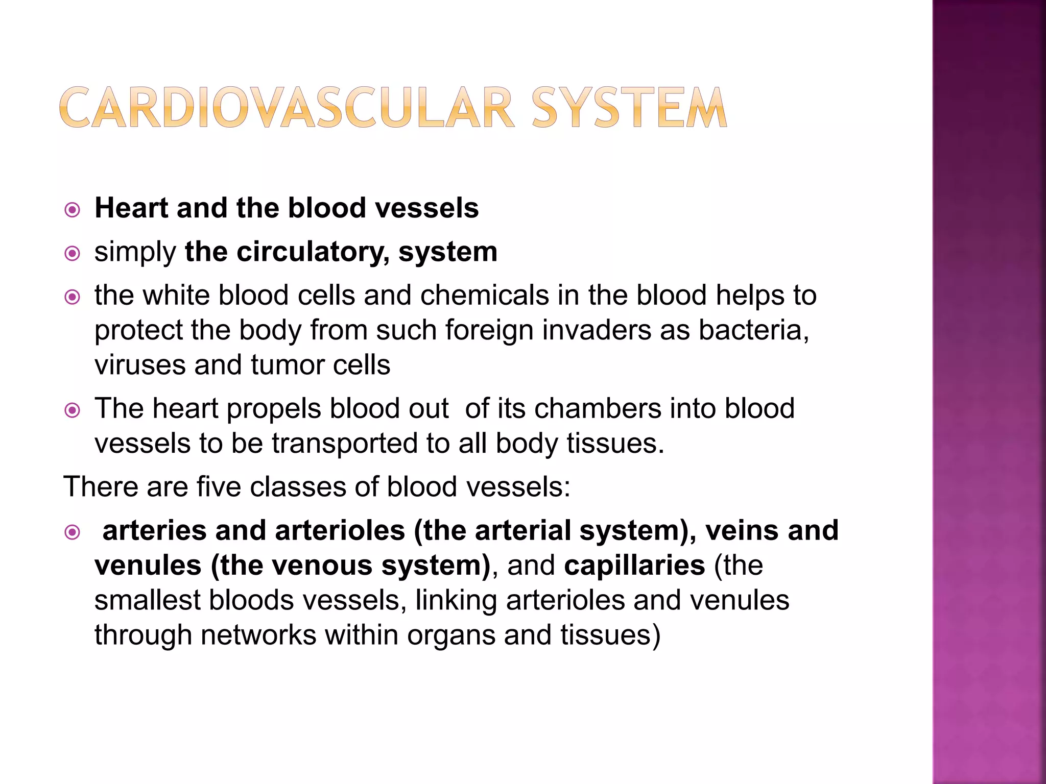 1-Overview of ANAPHY.pptx