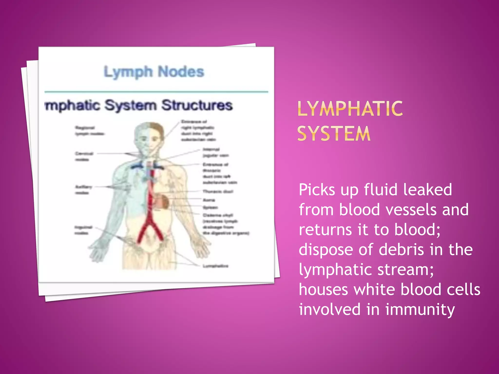1-Overview of ANAPHY.pptx