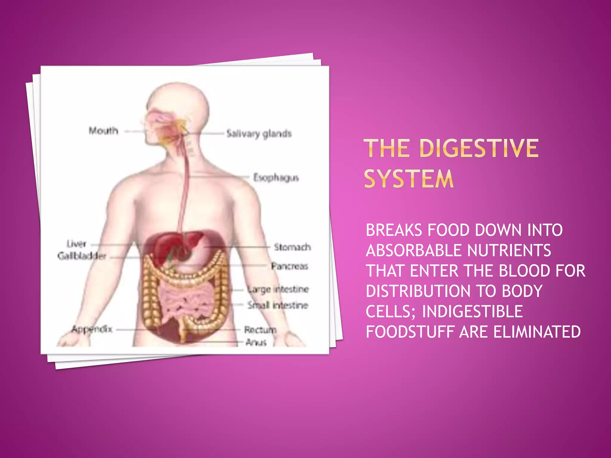 1-Overview of ANAPHY.pptx