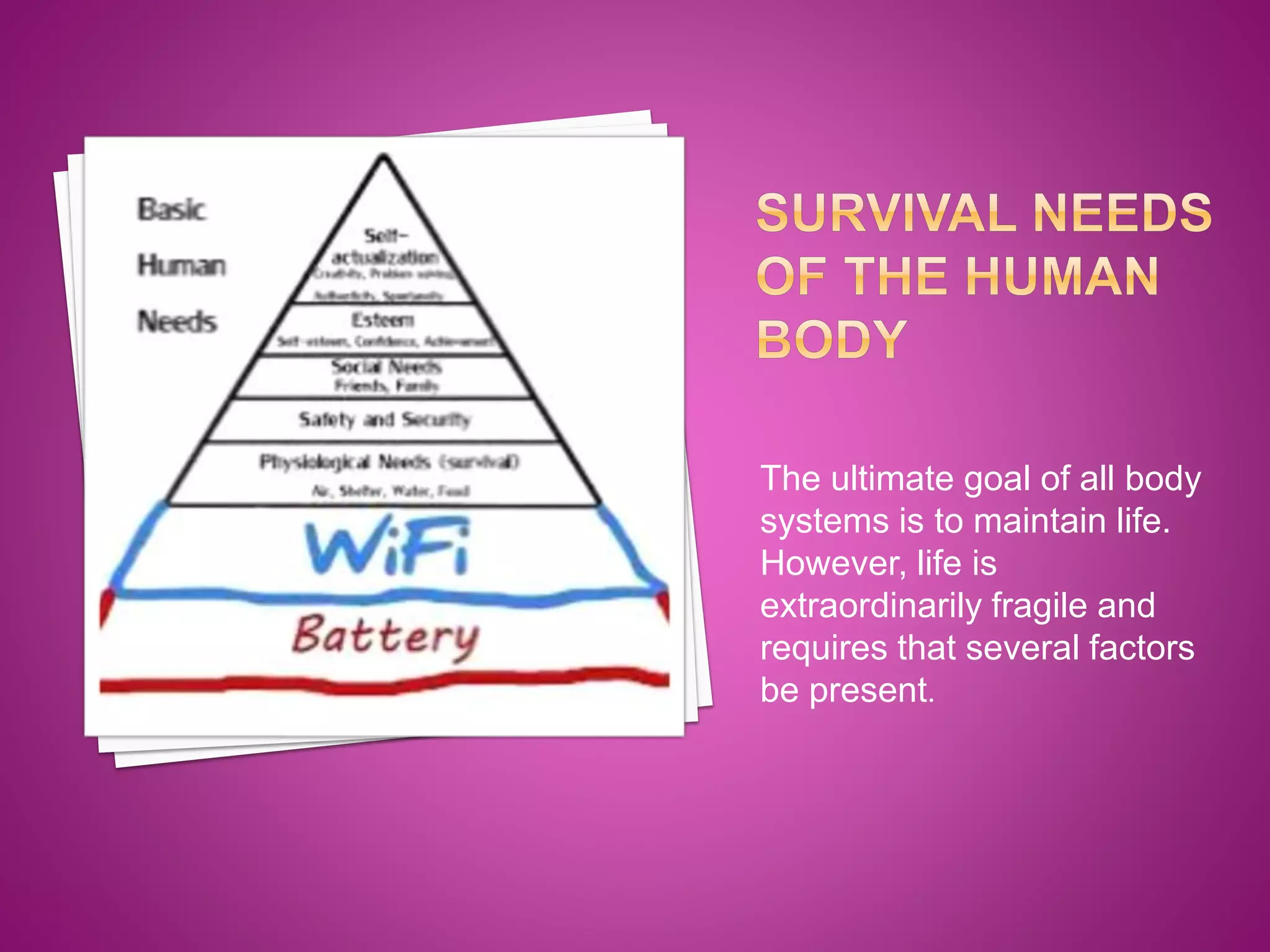 1-Overview of ANAPHY.pptx