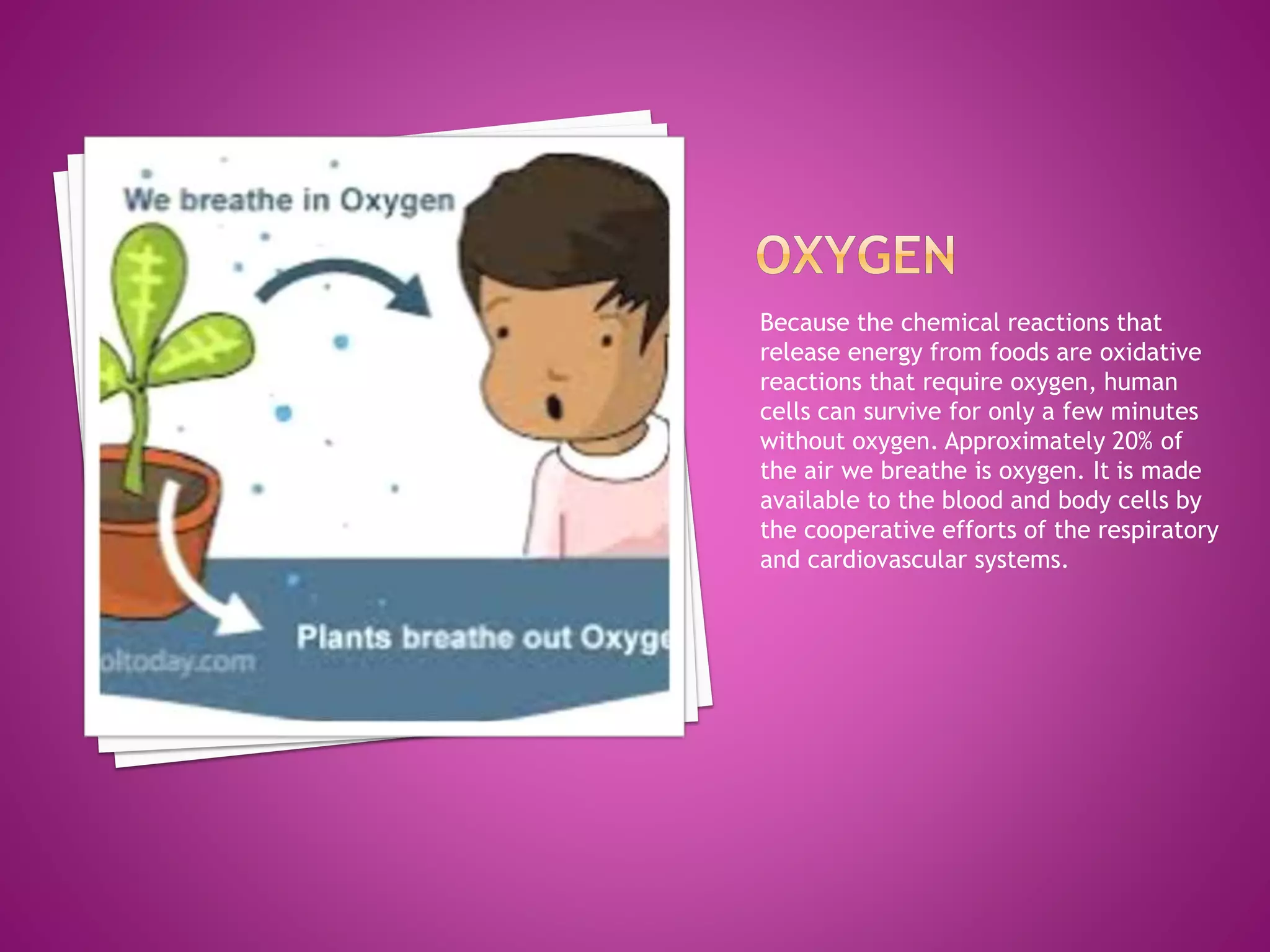 1-Overview of ANAPHY.pptx