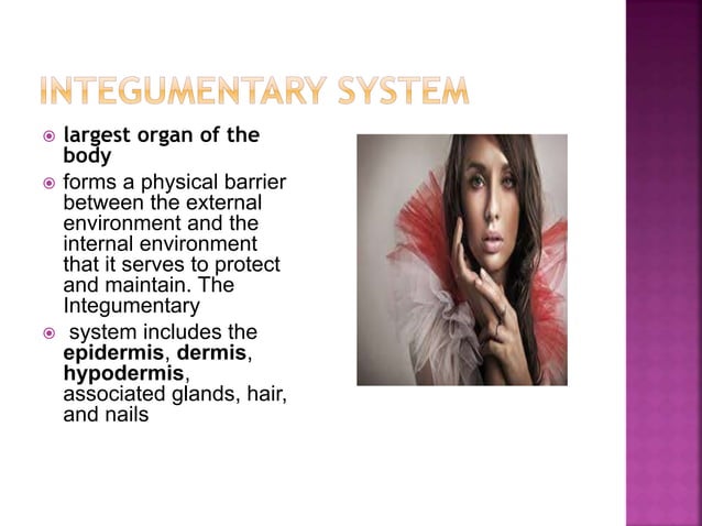 1-Overview of ANAPHY.pptx