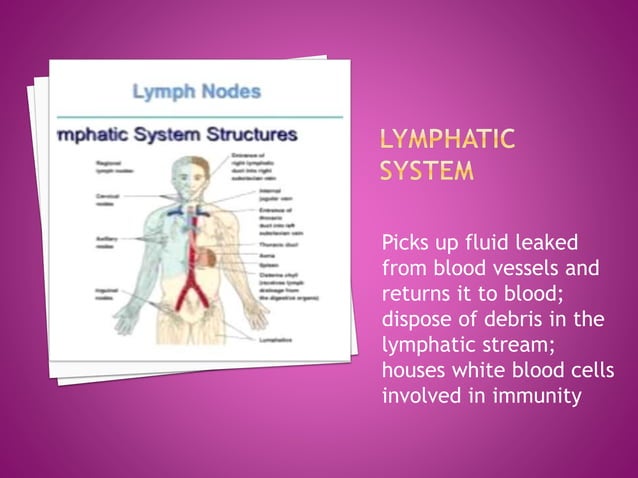 1-Overview of ANAPHY.pptx