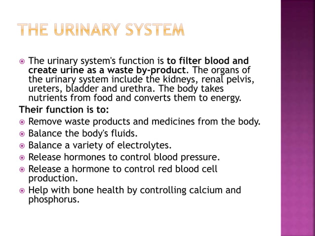 1-Overview of ANAPHY.pptx