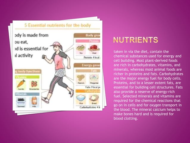 1-Overview of ANAPHY.pptx