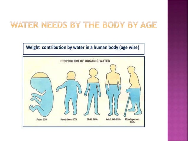 1-Overview of ANAPHY.pptx