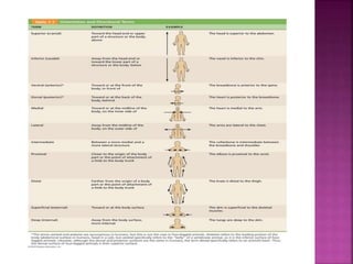 1-Overview of ANAPHY.pptx