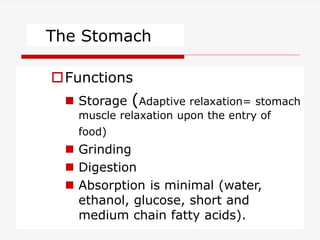 1-Overview of digestion and absroption.ppt2023.pdf
