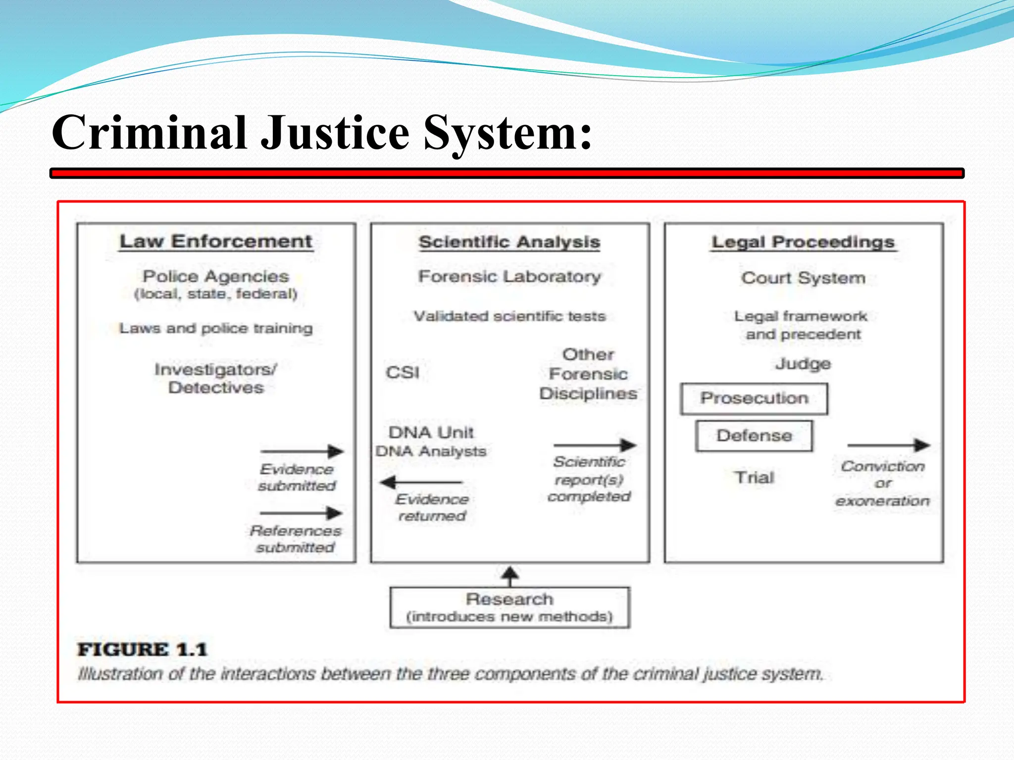 Overview of Forensic Sciences In Forensic Serology & DNA Typing.pptx