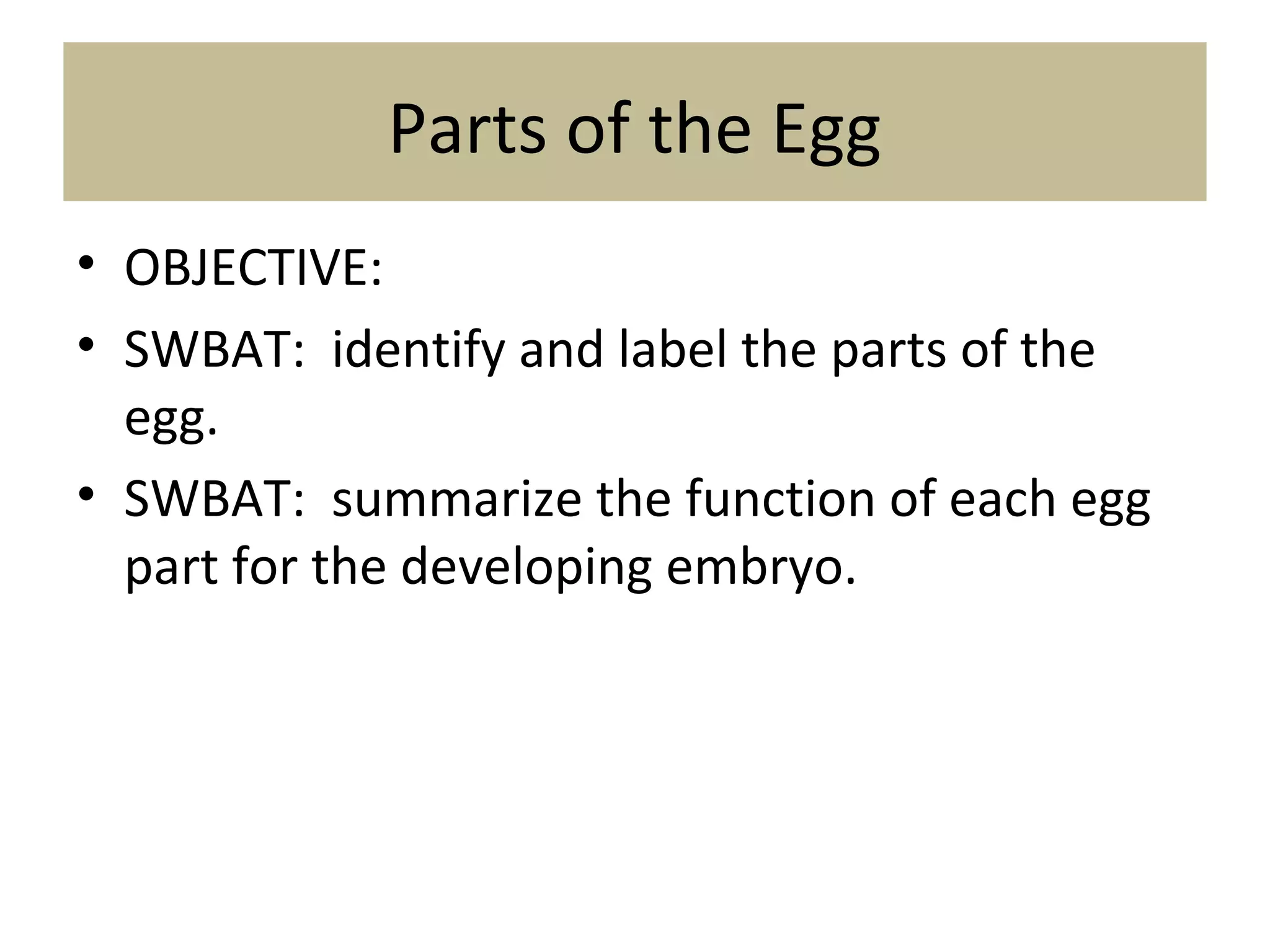 1. page 4 egg diagram | PPT