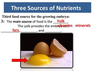 1. page 4 egg diagram | PPT