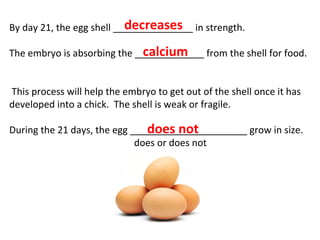 1. page 4 egg diagram | PPT