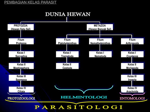 1. parasitologi | PPT