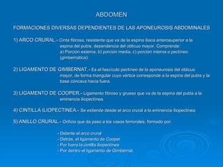 Anatomia de la Pared abdominal-Netter.ppt