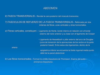 Anatomia de la Pared abdominal-Netter.ppt