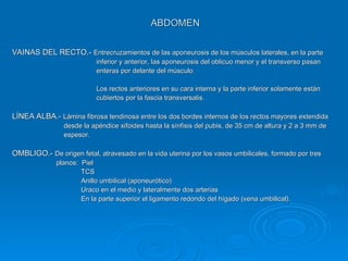 Anatomia de la Pared abdominal-Netter.ppt