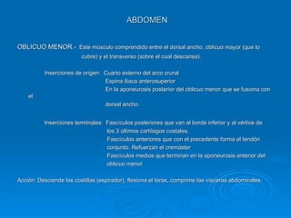 Anatomia de la Pared abdominal-Netter.ppt
