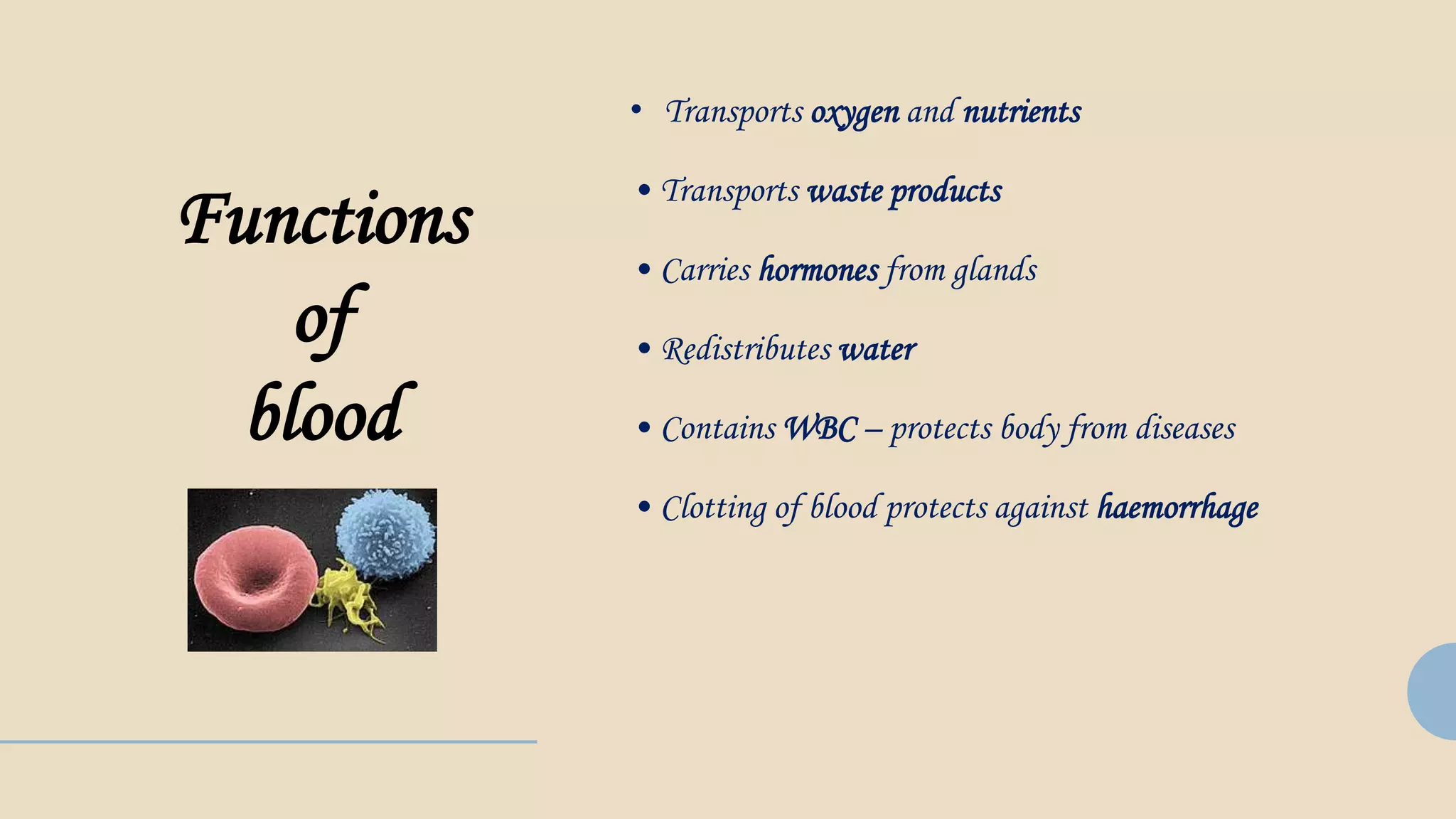 Pathology of Blood and Urine | PPTX