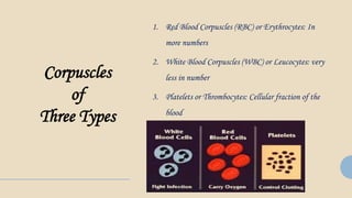 Pathology of Blood and Urine | PPTX