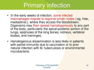 1-Pathology of TB.pdf............................... | PDF