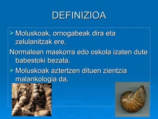 Moluskoak | PPT