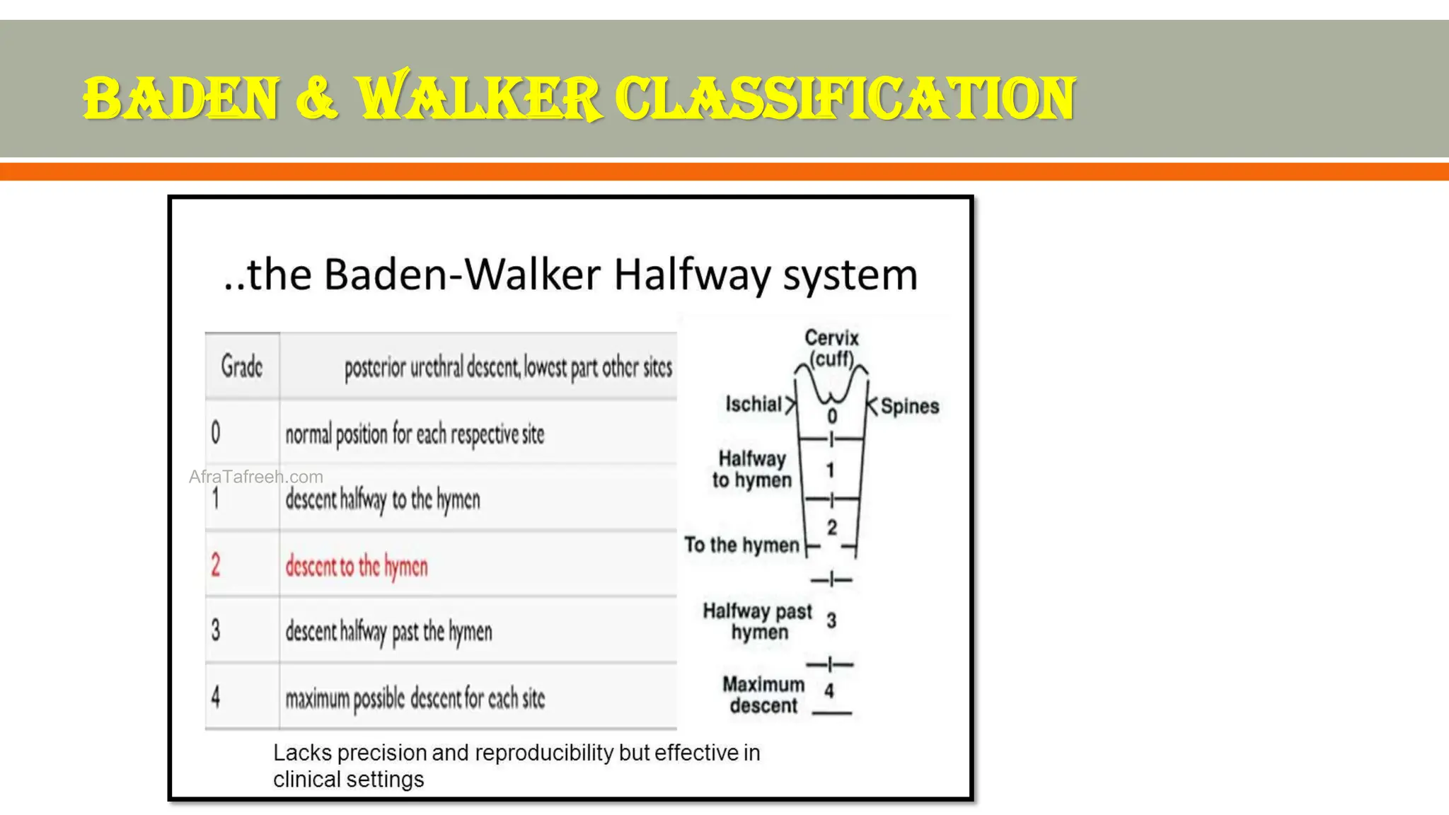 1-Pelvic Organ Prolapse atf.pdf obg and gyn | PDF