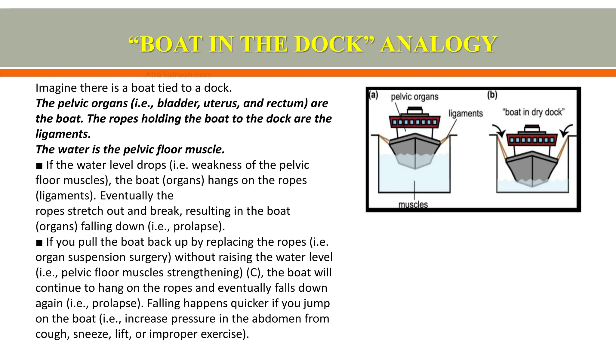 1-Pelvic Organ Prolapse atf.pdf obg and gyn | PDF