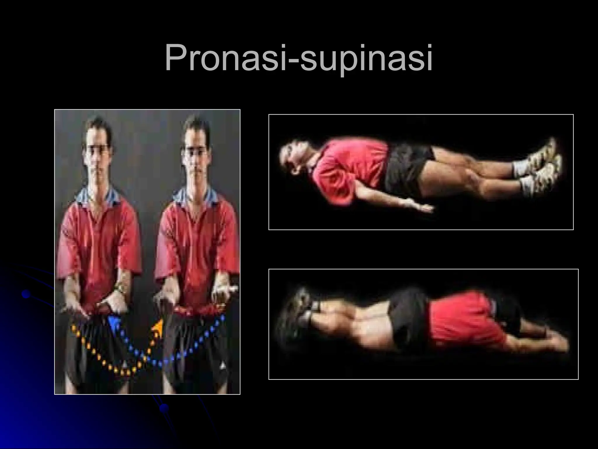 1-pengantar anatomi fisiologi ppt b.indo