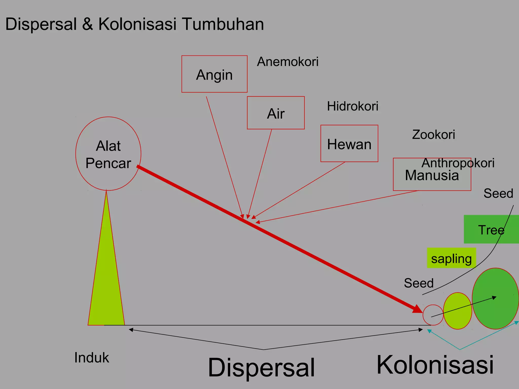 1 pengantar-geografi-dispersal-migrasi | PPT