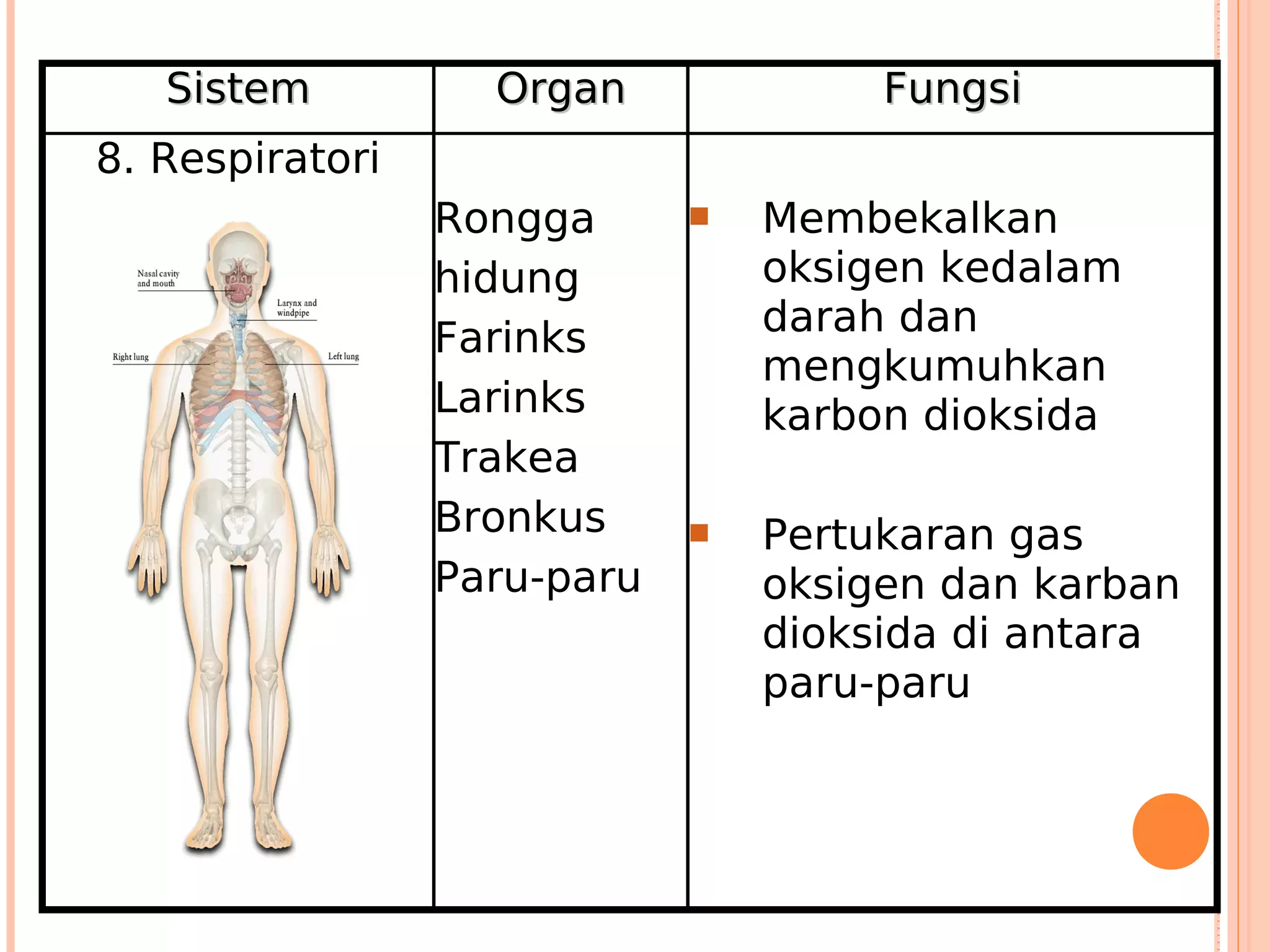 1 pengenalan-anatomi-dan-fisiologi-tingkatan-4 | PDF