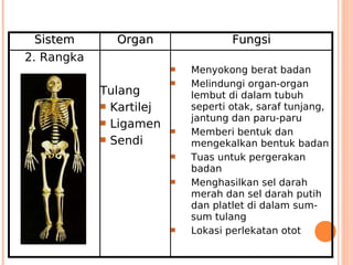 1 pengenalan-anatomi-dan-fisiologi-tingkatan-4 | PDF