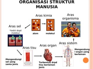 1 pengenalan-anatomi-dan-fisiologi-tingkatan-4 | PDF